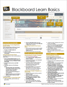 BB Basics reference card page 1 image