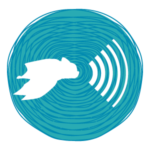 Humber Learning Outcomes in Action – Innovative Learning