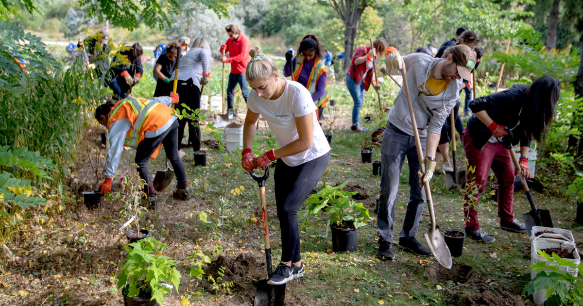 Sustainability and Humber Learning Outcomes - Humber Polytechnic